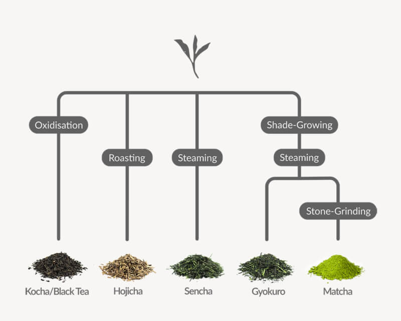 About - Sora Tea Co.